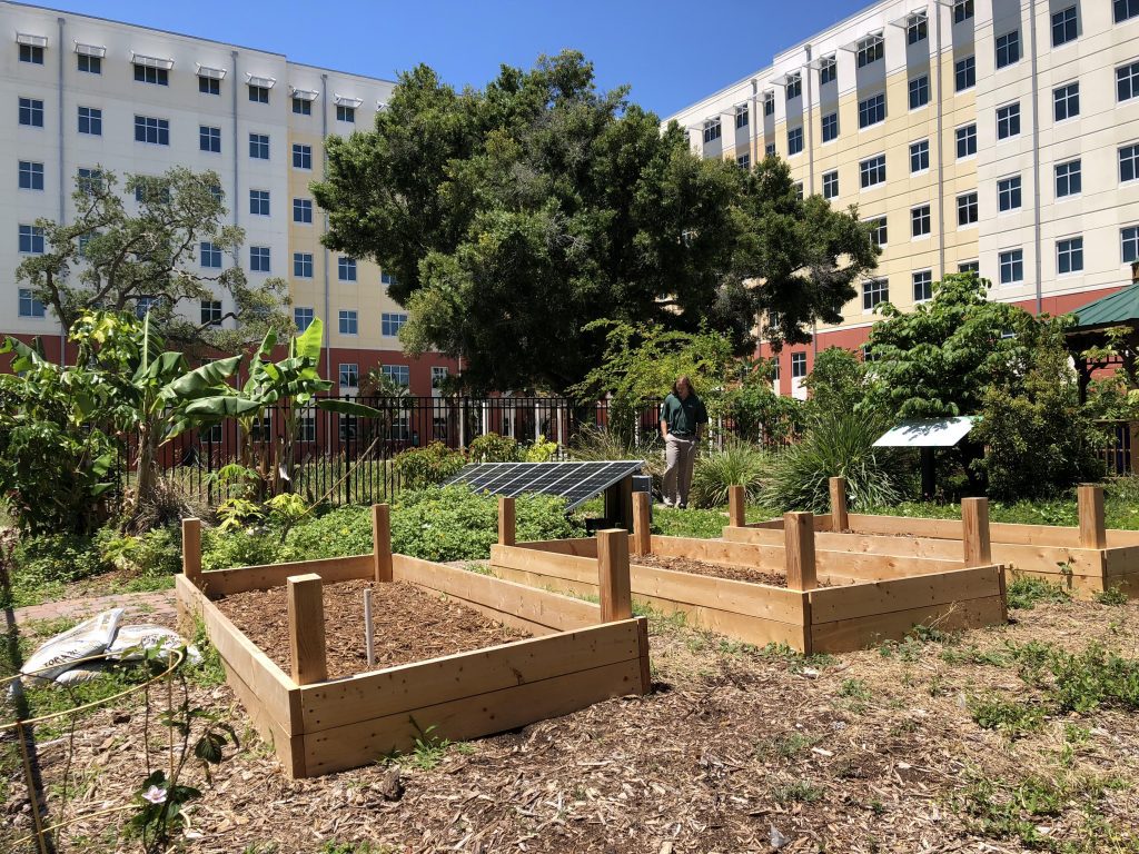 Serving a Growing Local Need with Urban Agriculture - Forward Pinellas Digital Archive