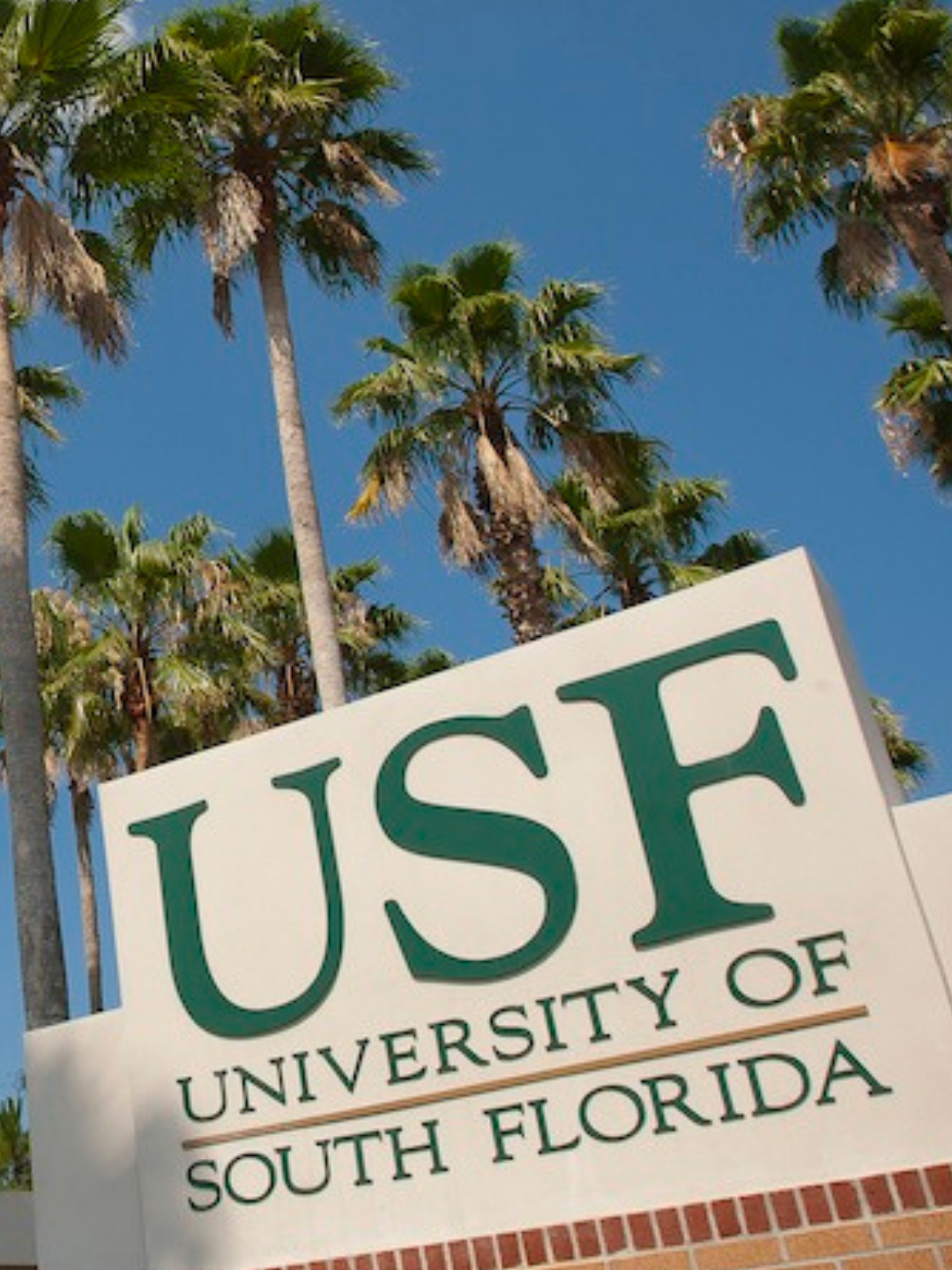 Forward Pinellas | Pinellas County Planning Organization