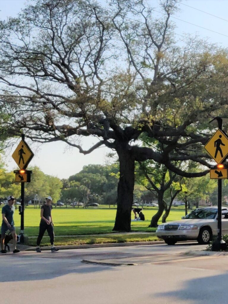 Forward Pinellas | Pinellas County Planning Organization